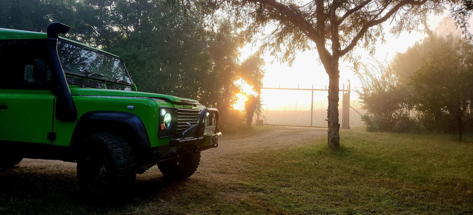 Madman Distribution Online Store - South Africa – Madman Distribution ...